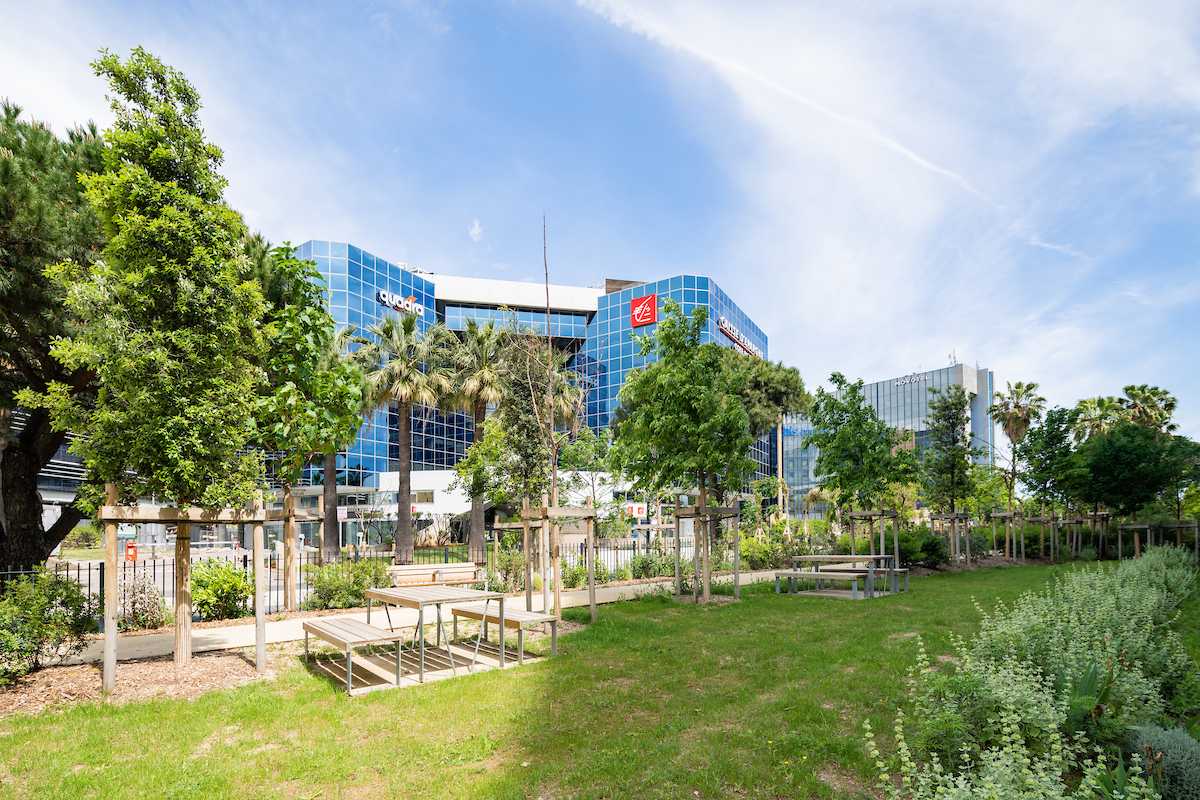 Découvrez le parc du Grand Arénas, nouveau poumon vert au cœur du quartier d… - Nice Ecovallée